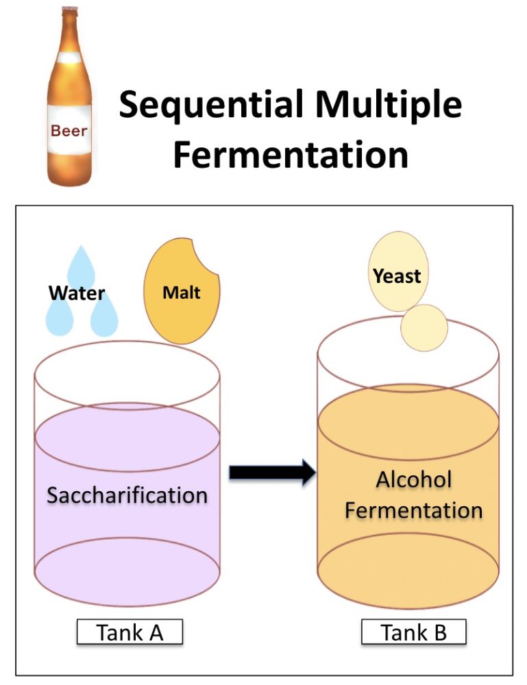 Fermentation Styles of Alcohol 2【Differences between Beer and Sake ...